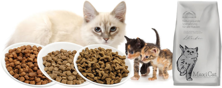 Reico Katzenfutter mit hohem Fleischanteil | Katzen & Kitten